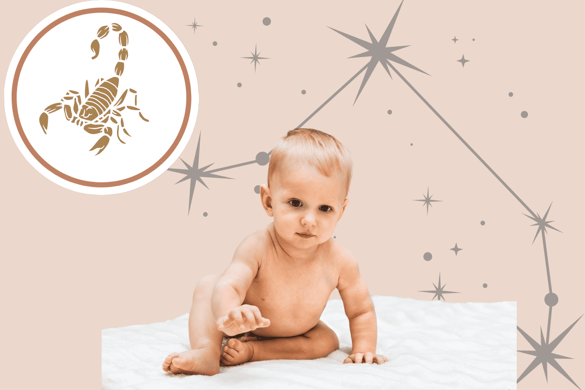 Your Scorpio Baby - Unveiling the Mysteries of their Intense Nature ...